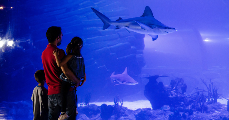 Entradas para Atlantis Aquarium Madrid (Arroyomolinos) - Atrapalo.com