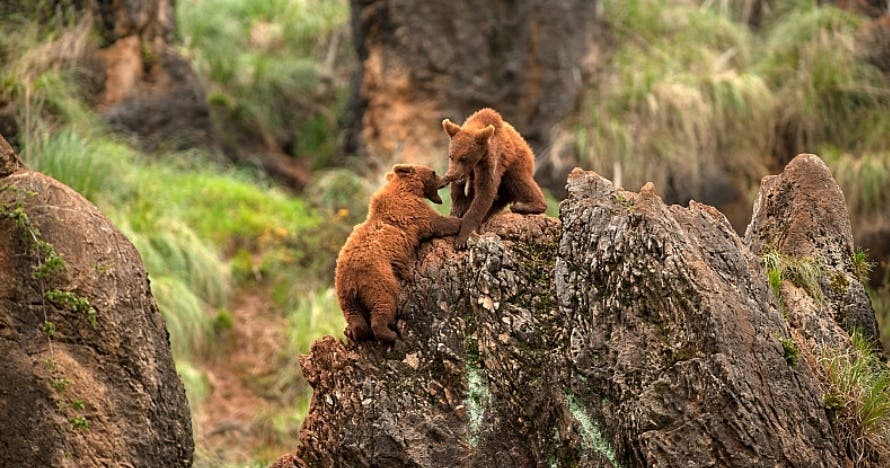 Entrada al Parque de la Naturaleza de Cabárceno (Santander) - Atrapalo.com