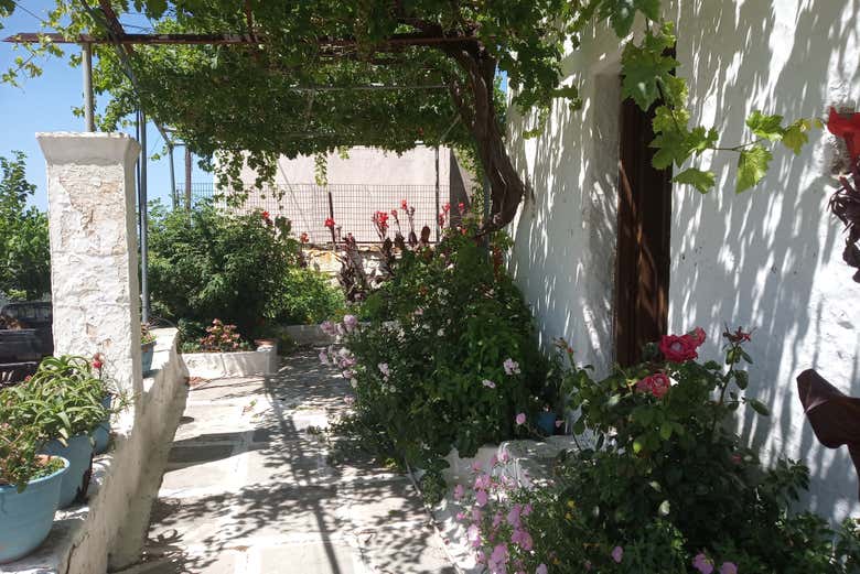 Tour por Rétino y Argiroupoli (Rétino) - Atrapalo.com