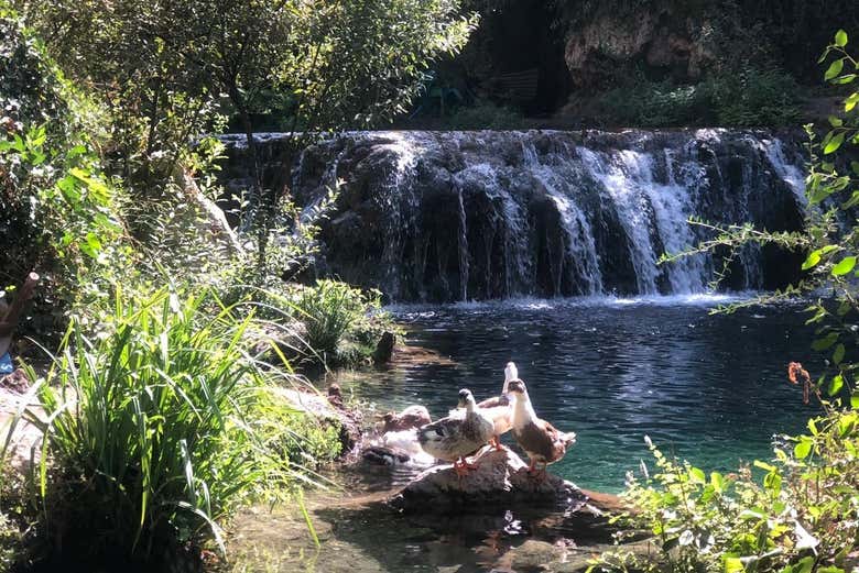 Excursión a Chefchaouen y las cascadas de Akchour (Tánger) - Atrapalo.com