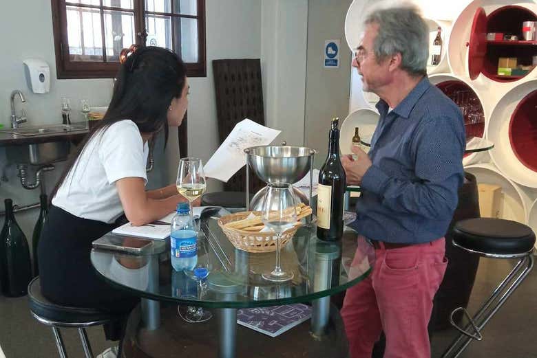 Excursión al castillo de Chillon y viñedos de Lavaux (Ginebra ...