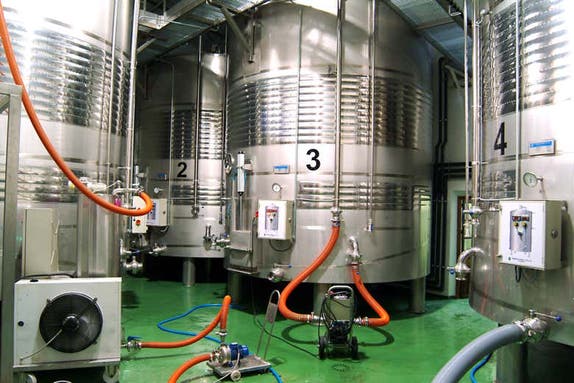 Visita a la bodega Campos de Dulcinea (El Toboso) - Atrapalo.com.ar