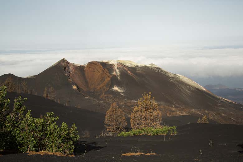 Excursión al volcán Tajogaite (Santa Cruz de la Palma) - Atrapalo.cl