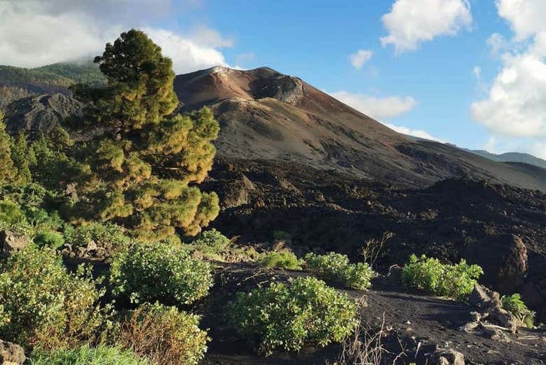 Excursión al volcán Tajogaite (Santa Cruz de la Palma) - Atrapalo.cl