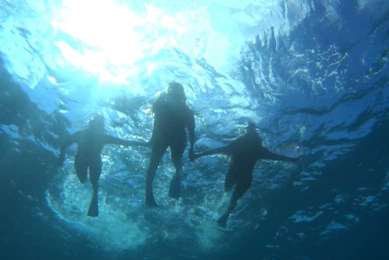 Paseo en lancha y snorkel en el Malpaís de Rasca (Las Galletas ...