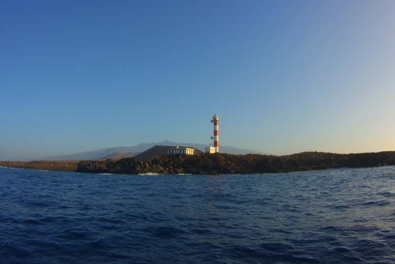 Paseo en lancha y snorkel en el Malpaís de Rasca (Las Galletas ...