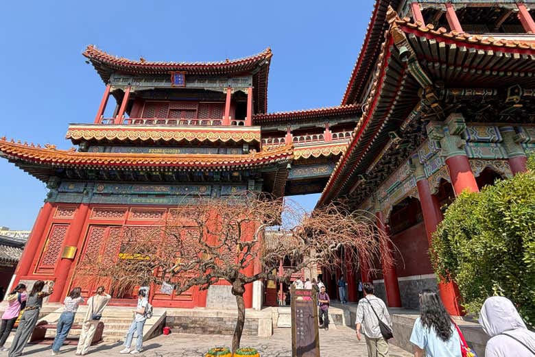 Entradas al Templo de los Lamas (Pekin) - Atrapalo.com
