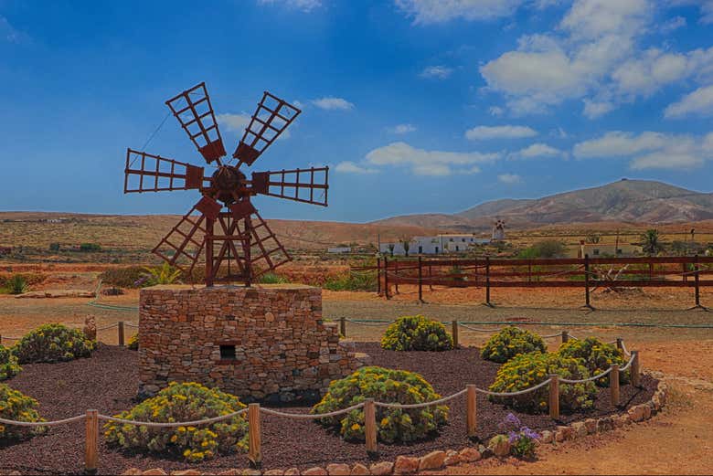 Excursión a las cuevas de Ajuy, Betancuria y el Museo del Queso ...